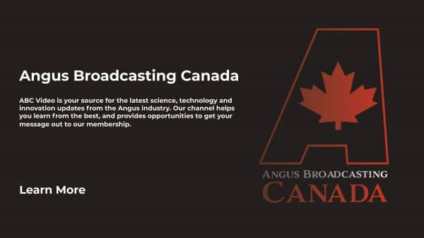 Canadian Angus Association