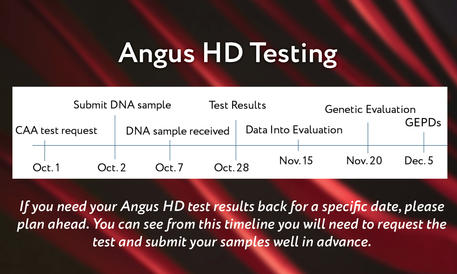 Canadian Angus Association