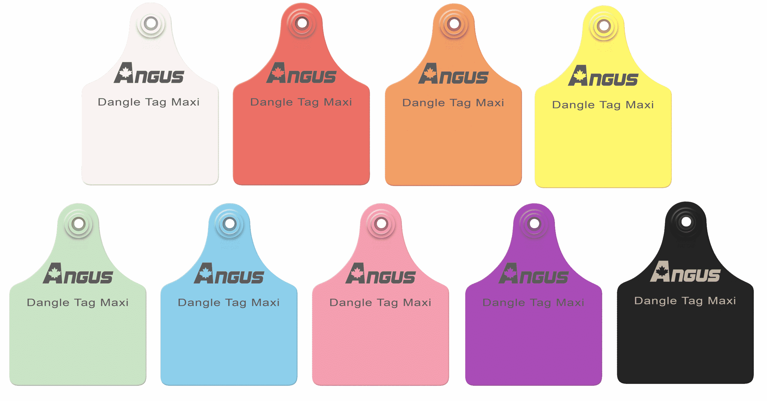 Canadian Angus Tags - Canadian Angus Association