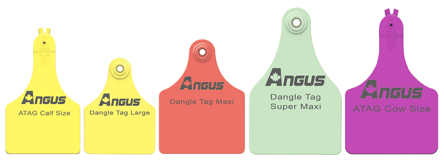 Canadian Angus Tags - Canadian Angus Association