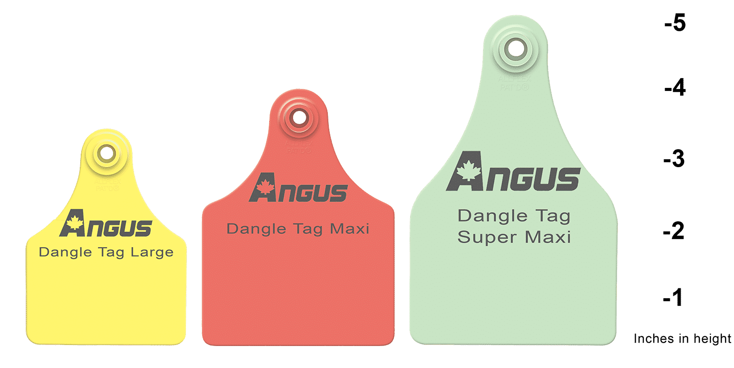 Canadian Angus Tags - Canadian Angus Association