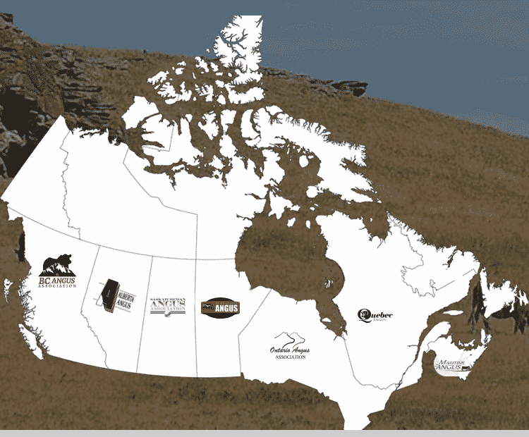Canada - Canadian Angus Association