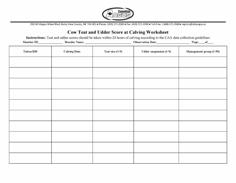 Cow Teat and Udder Score at Calving Worksheet - Canadian Angus Association