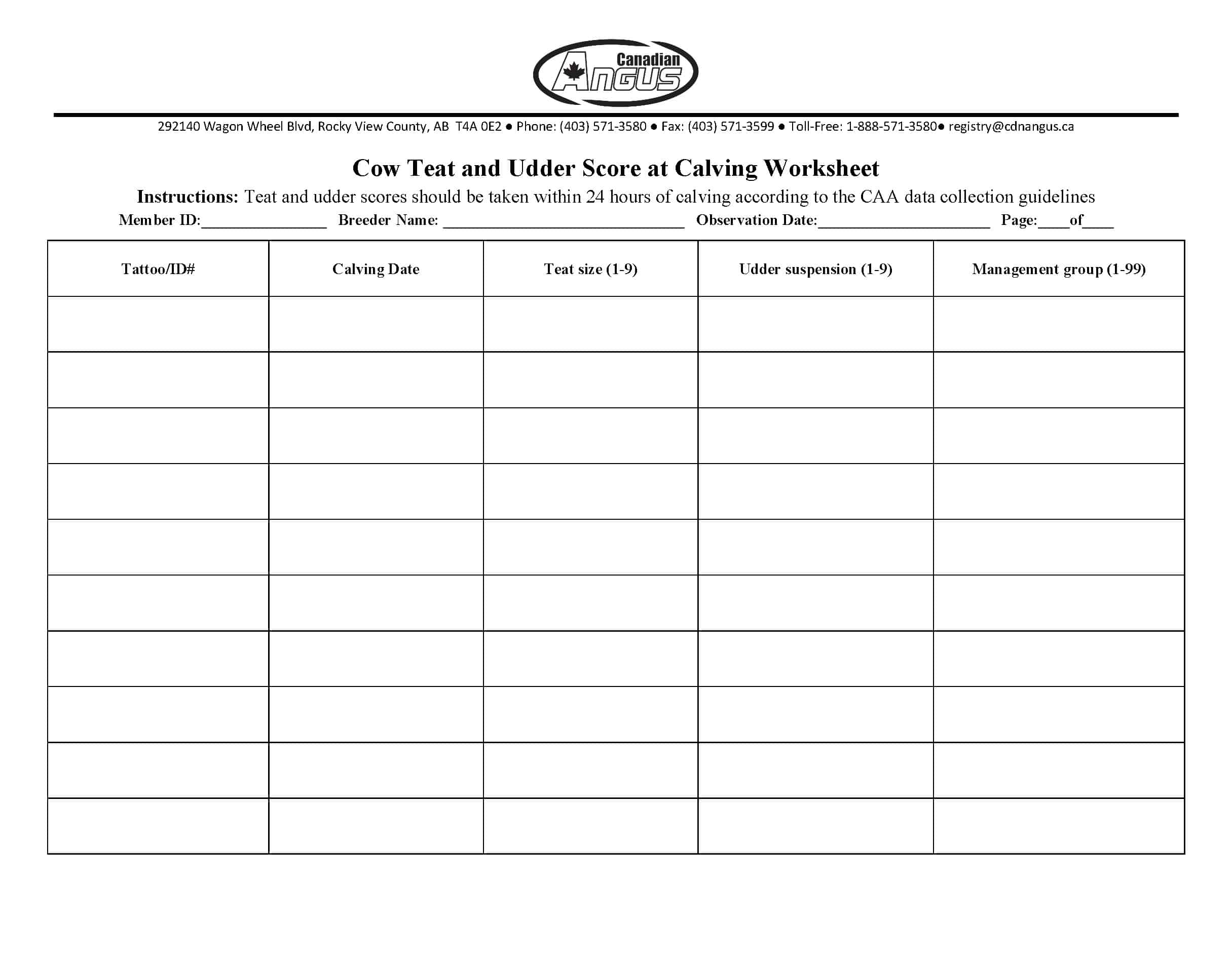 Cow Teat and Udder Score at Calving Worksheet - Canadian Angus Association