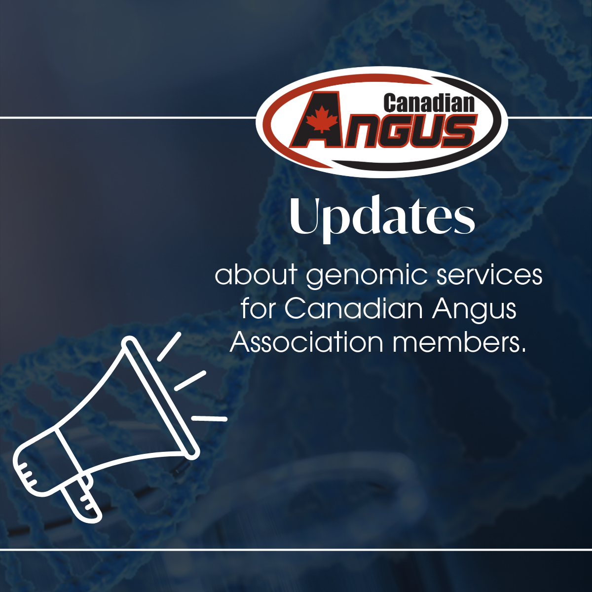 Canadian Angus Association