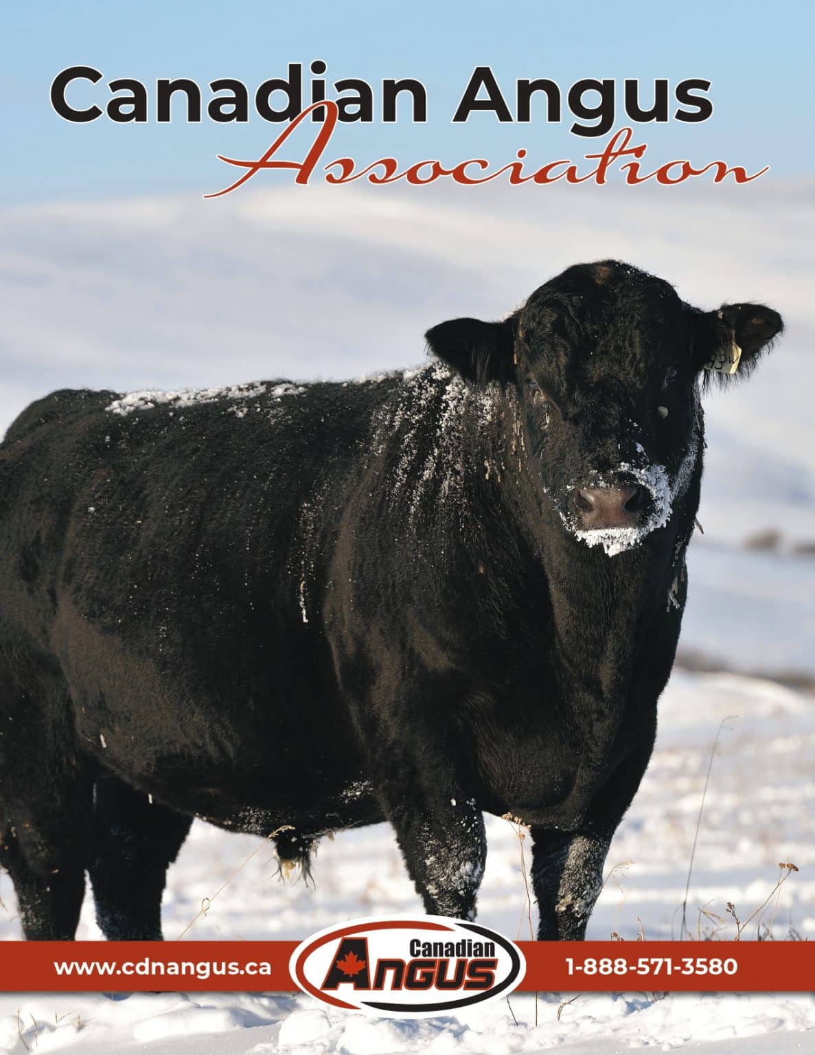 Canadian Angus Association