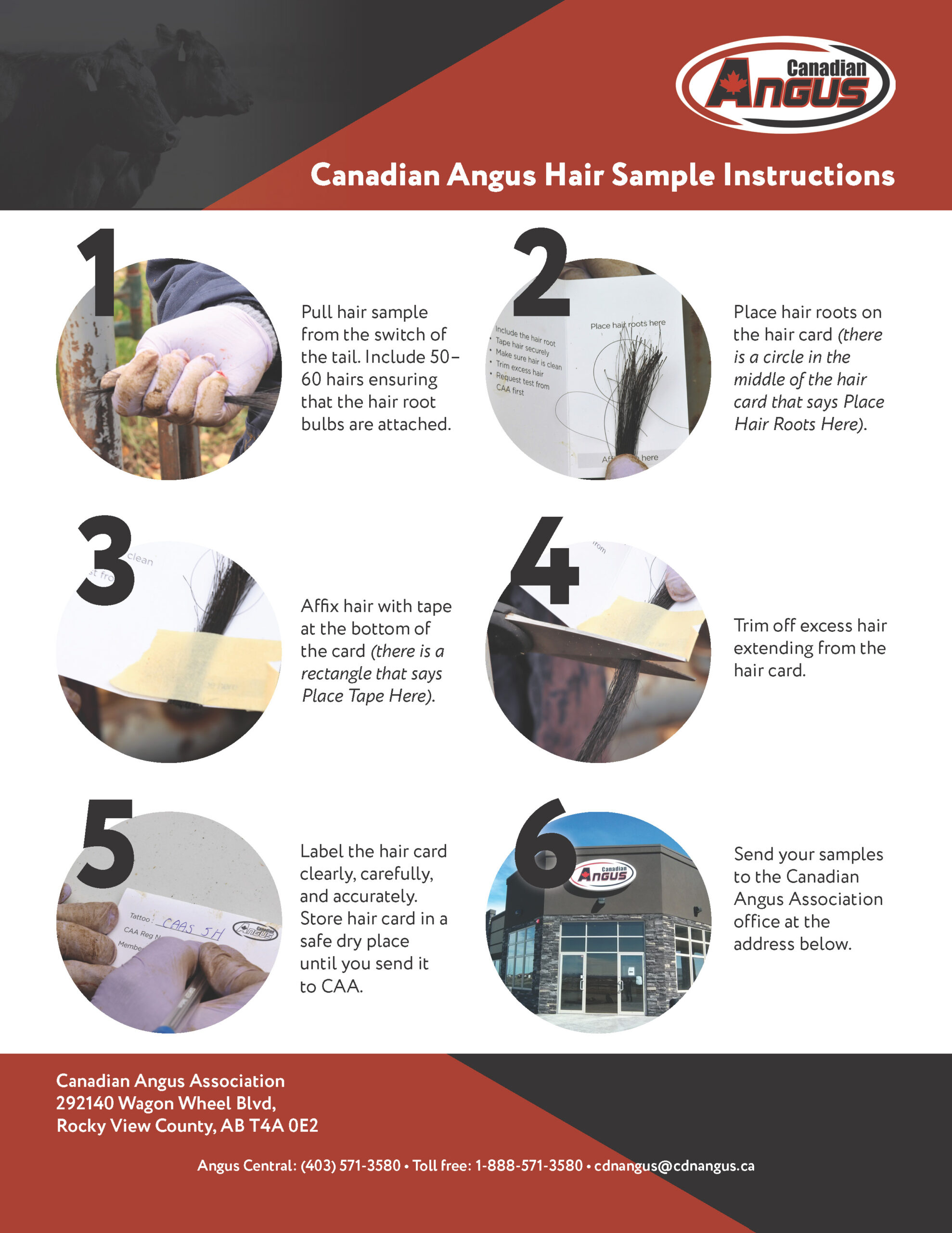 DNA Test Requests - Canadian Angus Association