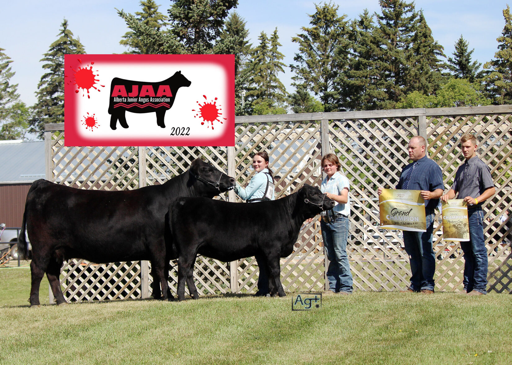 Mackenzie Denschikoff - Champion Commercial Female - Canadian Angus ...