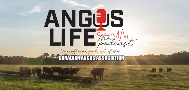 Angus Life - Canadian Angus Association