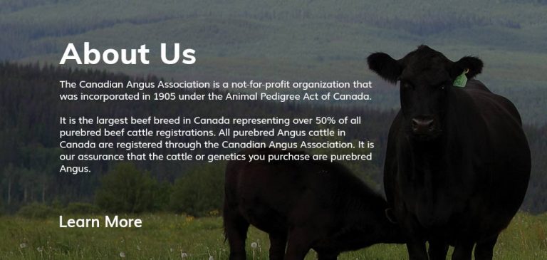 Verified Angus - Canadian Angus Association