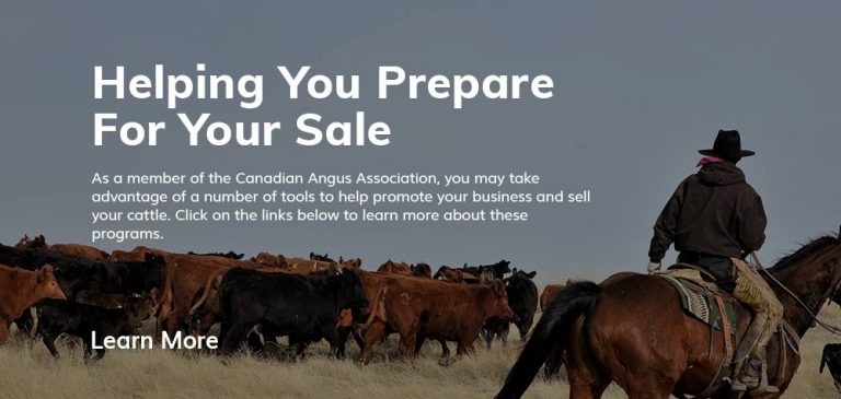 Canadian Angus Association